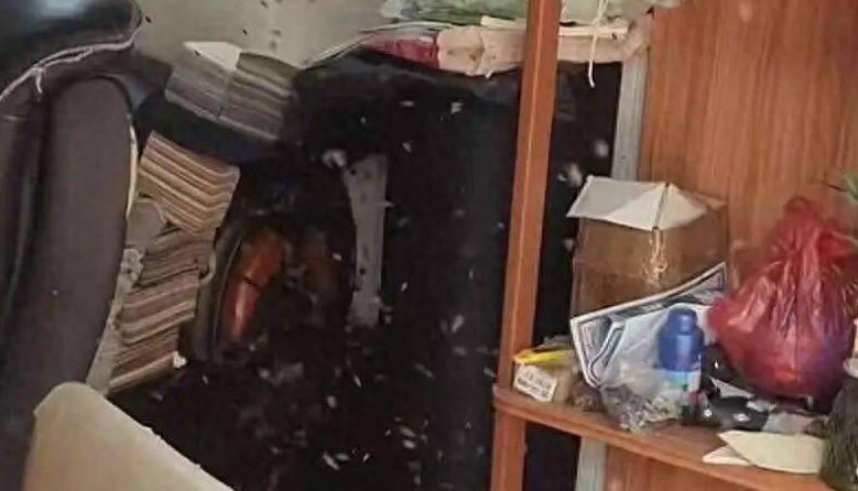 居民区涌入大量蜜蜂