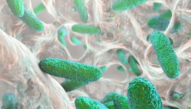 食用剩菜患脑膜炎