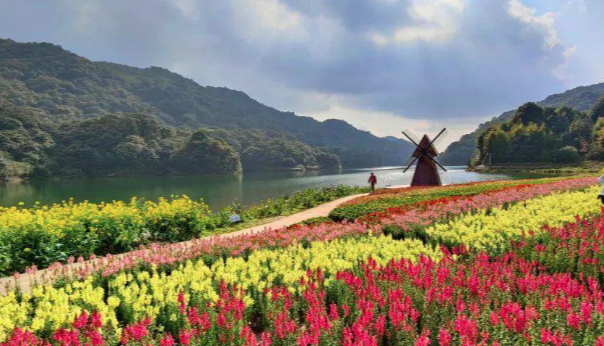 多景区妇女节免票